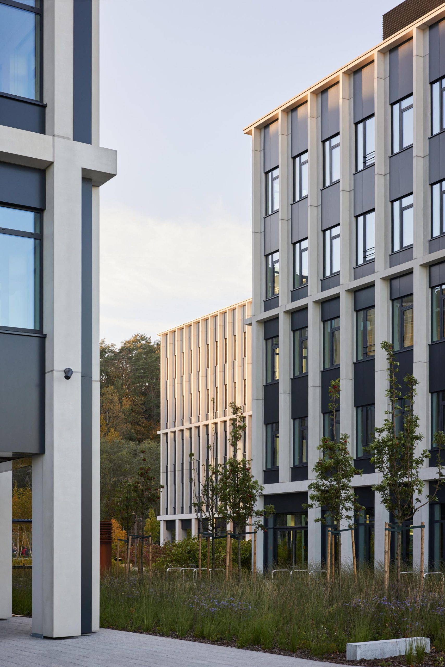 INHUS | Projects